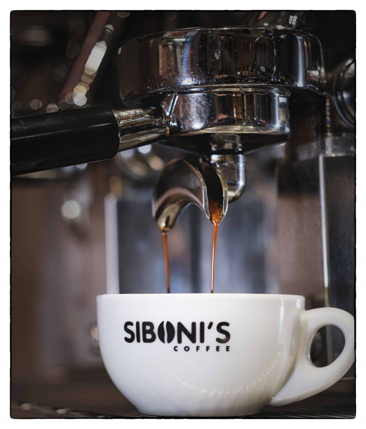 Friendly Expert Coffee Roasters and Shop Sydney - Siboni's Coffee